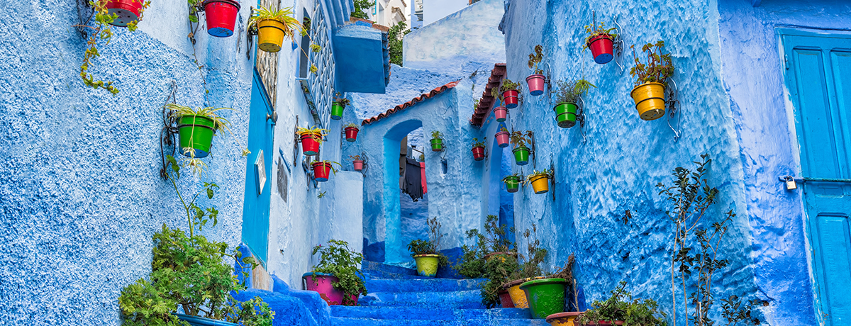 Daleka putovanja I Big Blue I Egzotična putovanja